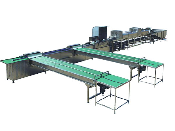 Complete Egg Processing Line | Egg Processing Machinery - 302B