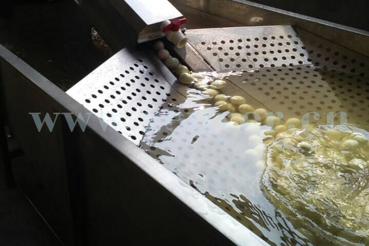 Complete Egg Processing Line | Egg Processing Machinery - 302B