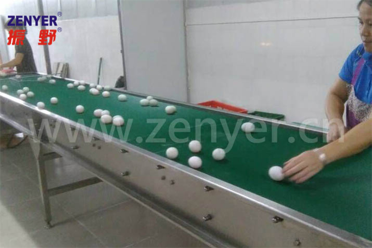 Complete Egg Processing Line | Egg Processing Machinery - 302B